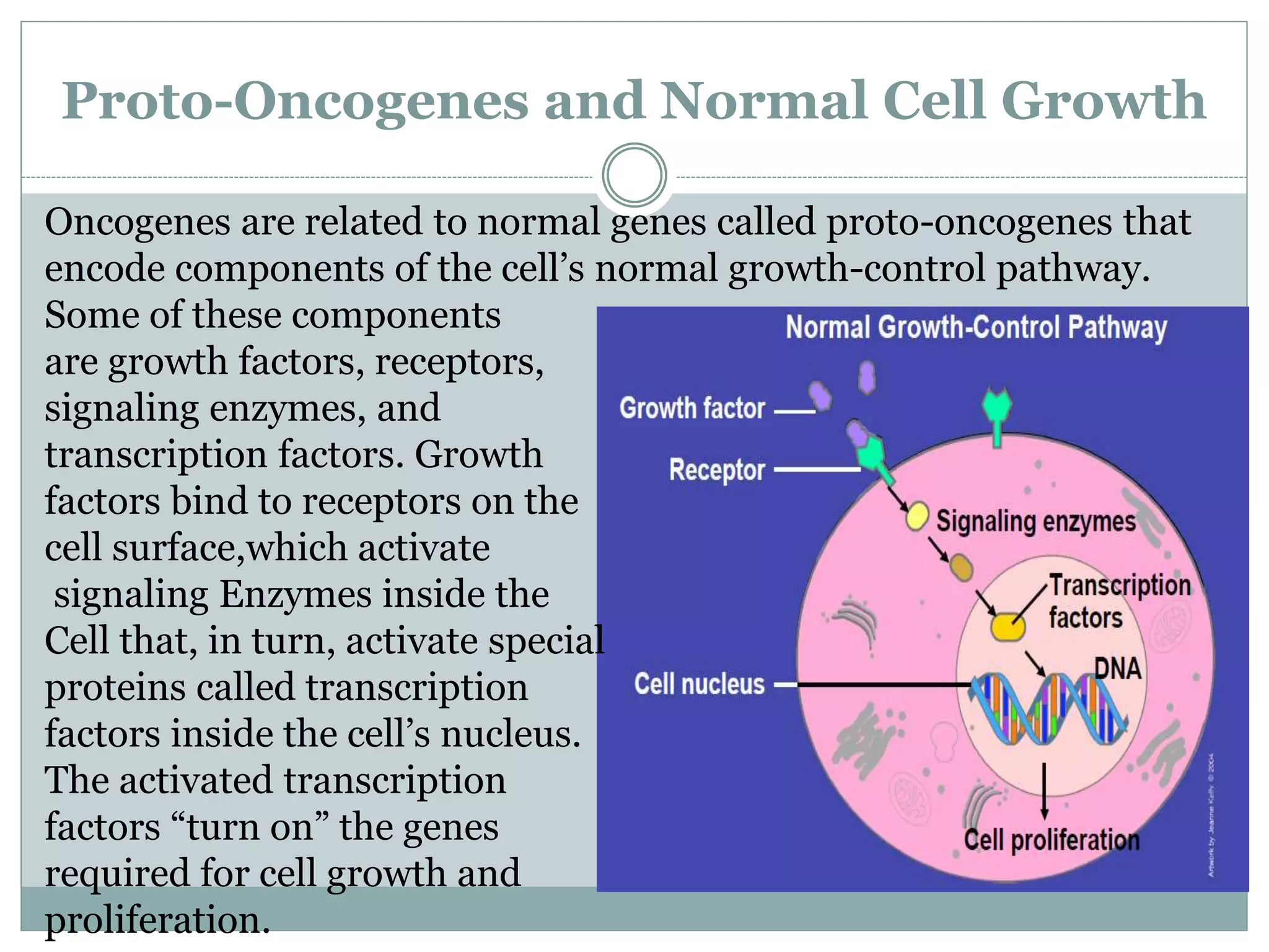 Cancer genetics | PPTX