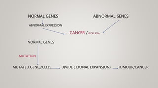 Cancer Genetics (Genes of cancer) | PPTX
