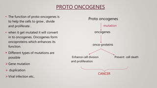 Cancer Genetics (Genes of cancer) | PPTX