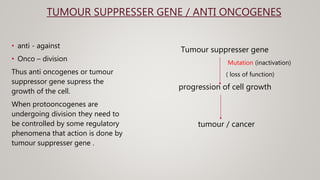 Cancer Genetics (Genes of cancer) | PPTX