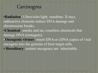 Cancer immunology.pptx