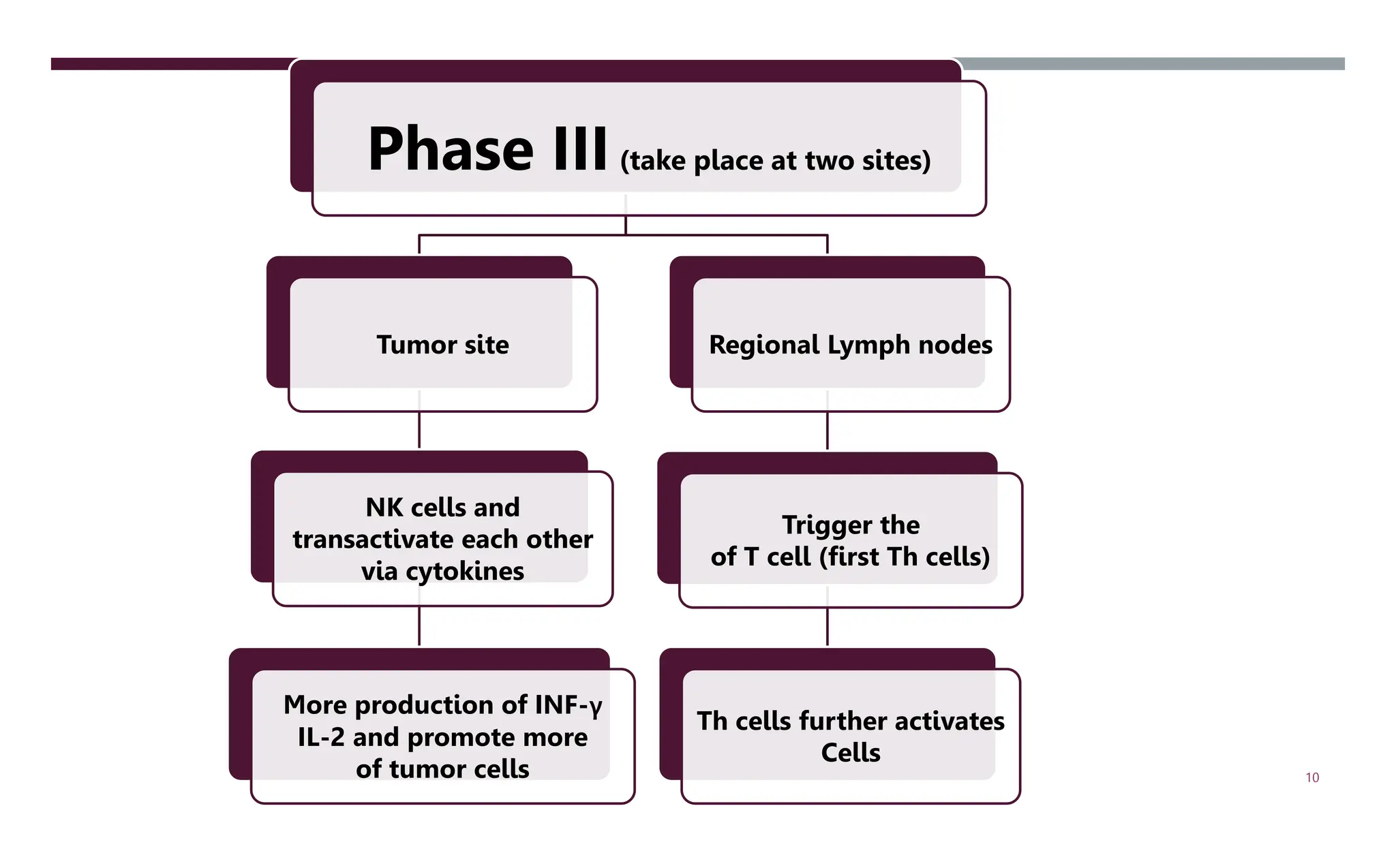 Cancer immunology.pptxfdnjjfkkckkfkkkkktkkk | PPTX
