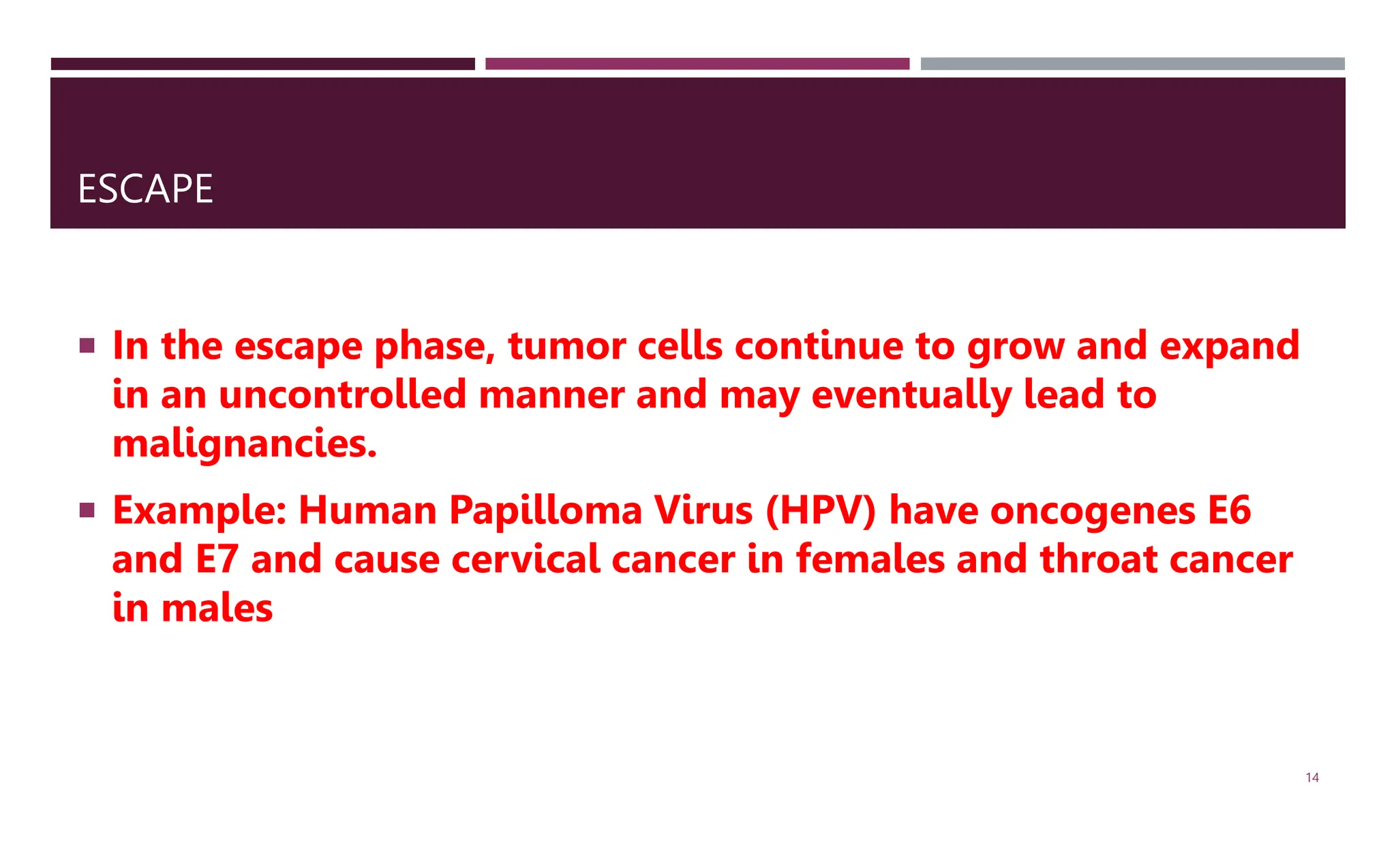Cancer immunology.pptxfdnjjfkkckkfkkkkktkkk | PPTX