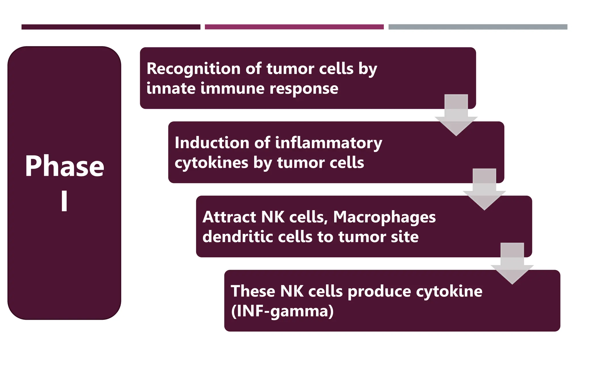 Cancer immunology.pptxfdnjjfkkckkfkkkkktkkk | PPTX