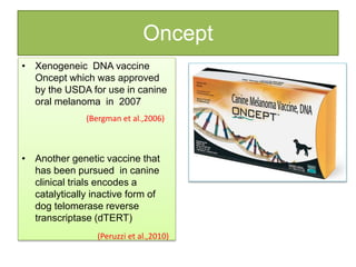 Cancer immunotherapy | PPTX