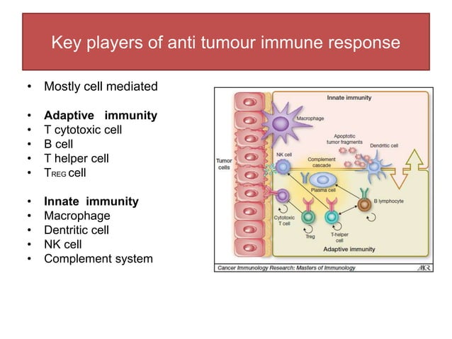 Cancer Immunotherapy Ppt