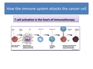 Cancer immunotherapy | PPTX