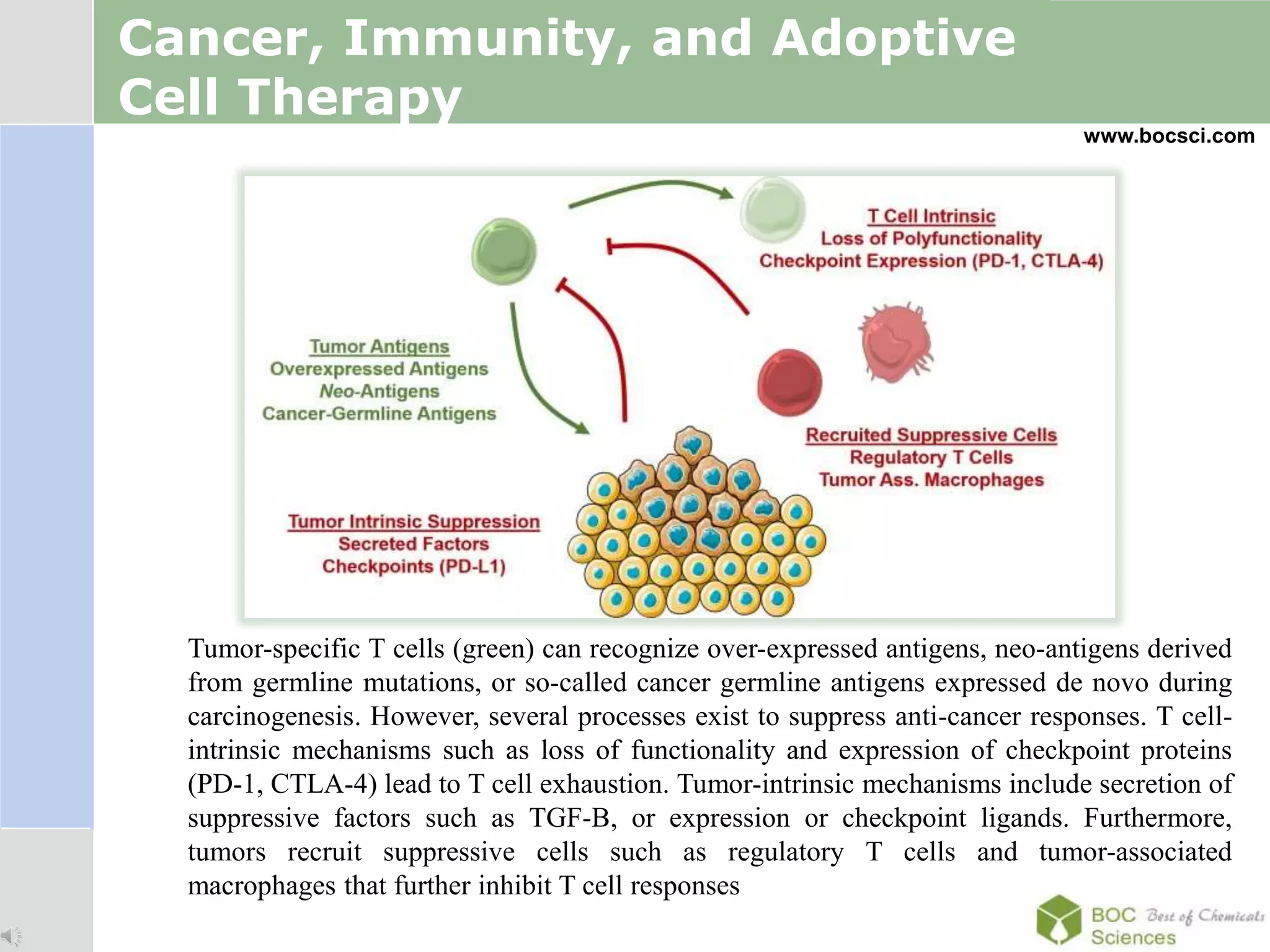 Cancer immunotherapy boc sciences | PPT
