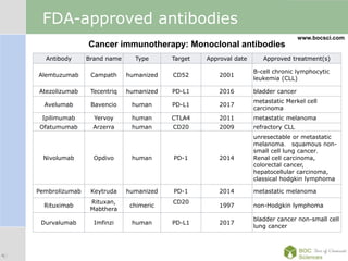Cancer immunotherapy boc sciences | PPT