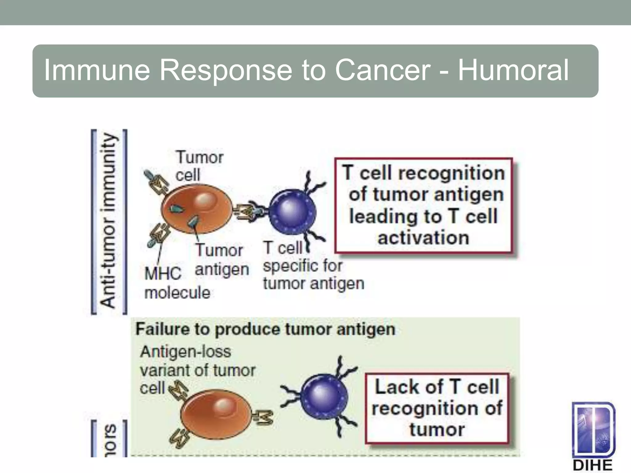 Cancer Immunotherapy Slideshare Pptx
