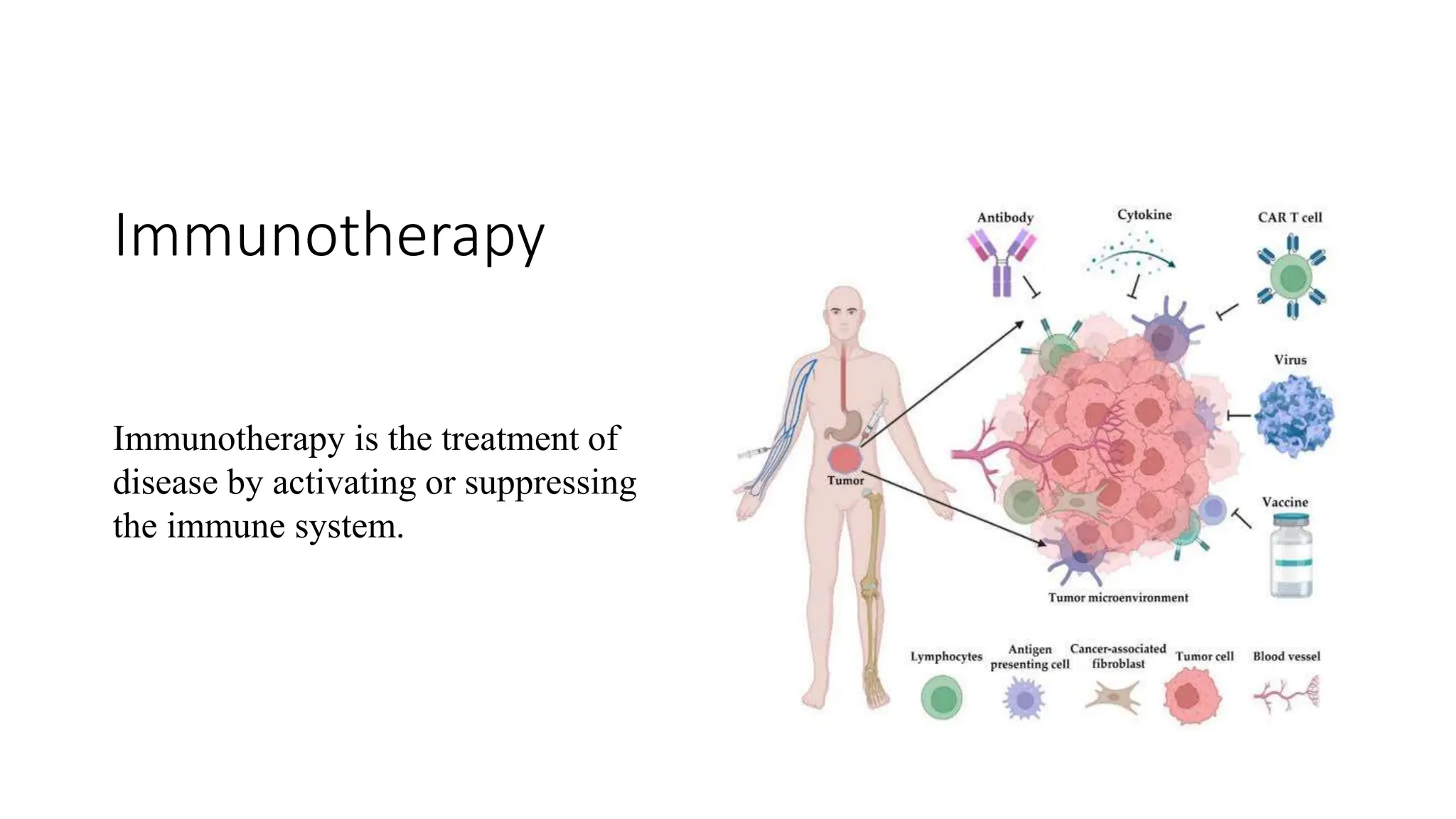Cancer Immunotherapy For Brain Tumors 1 Pptx