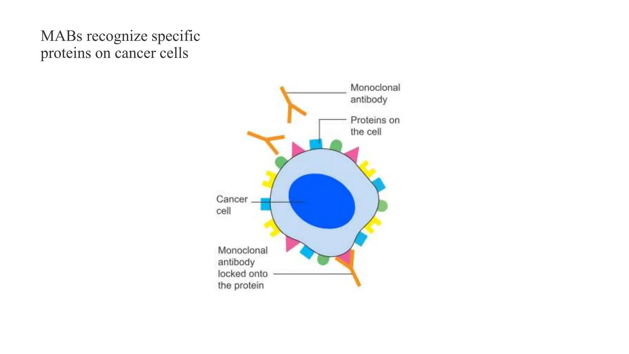 Cancer immunotherapy for brain tumors (1).pptx