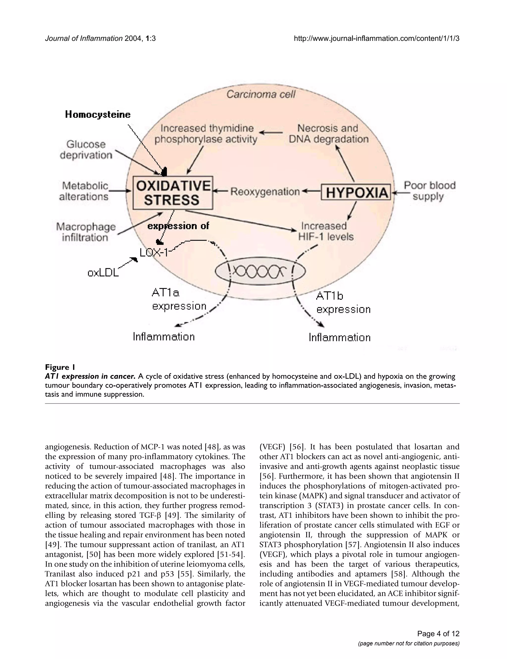 Cancer inflammation at1 and at2 receptors - AT2 receptors Gary Robert Smith & Sotiris ...