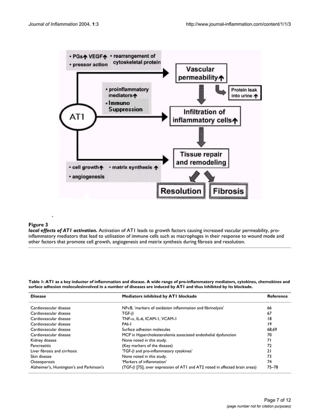 Cancer inflammation at1 and at2 receptors - AT2 receptors Gary Robert ...