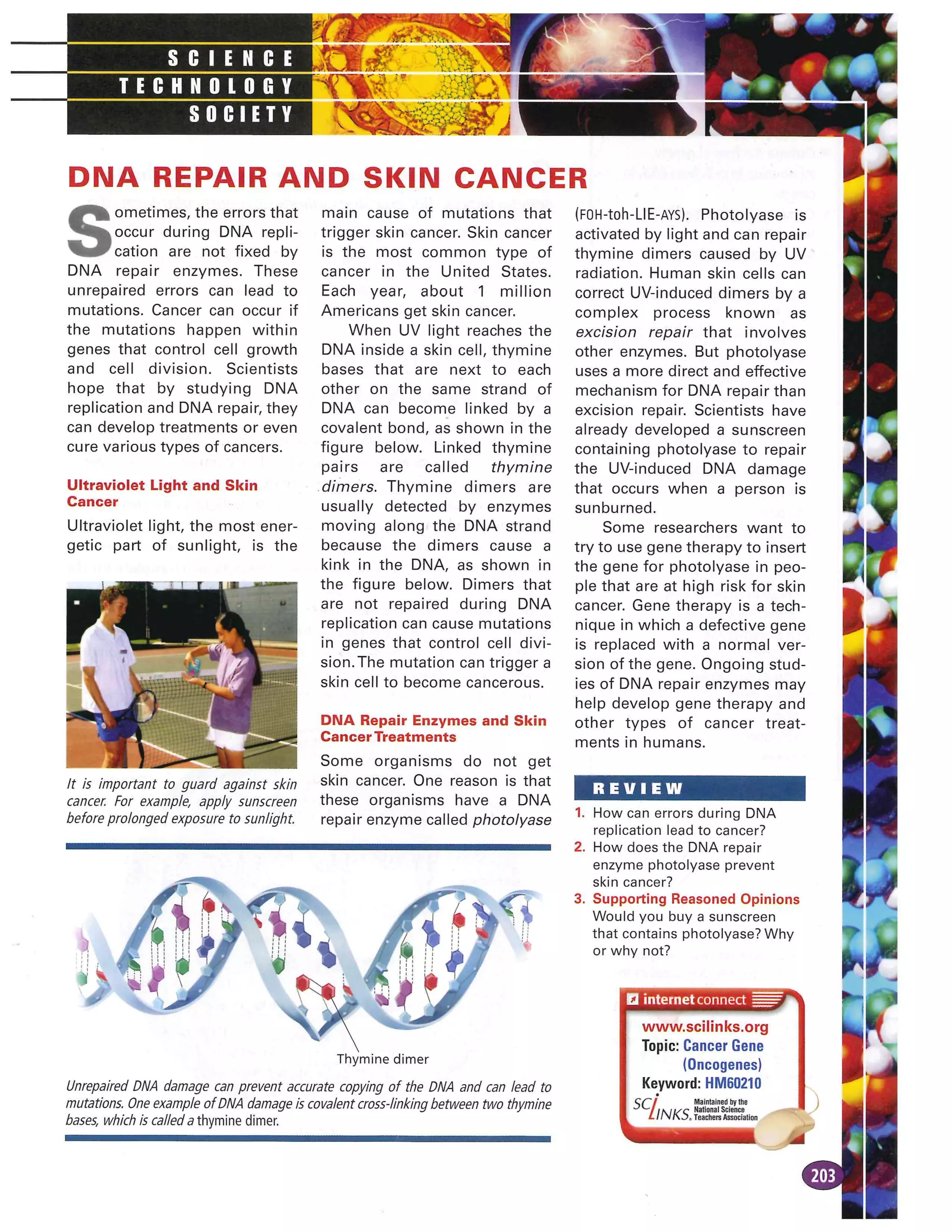 Cancer info in bio textbook | PDF | Cancer | Diseases and Conditions