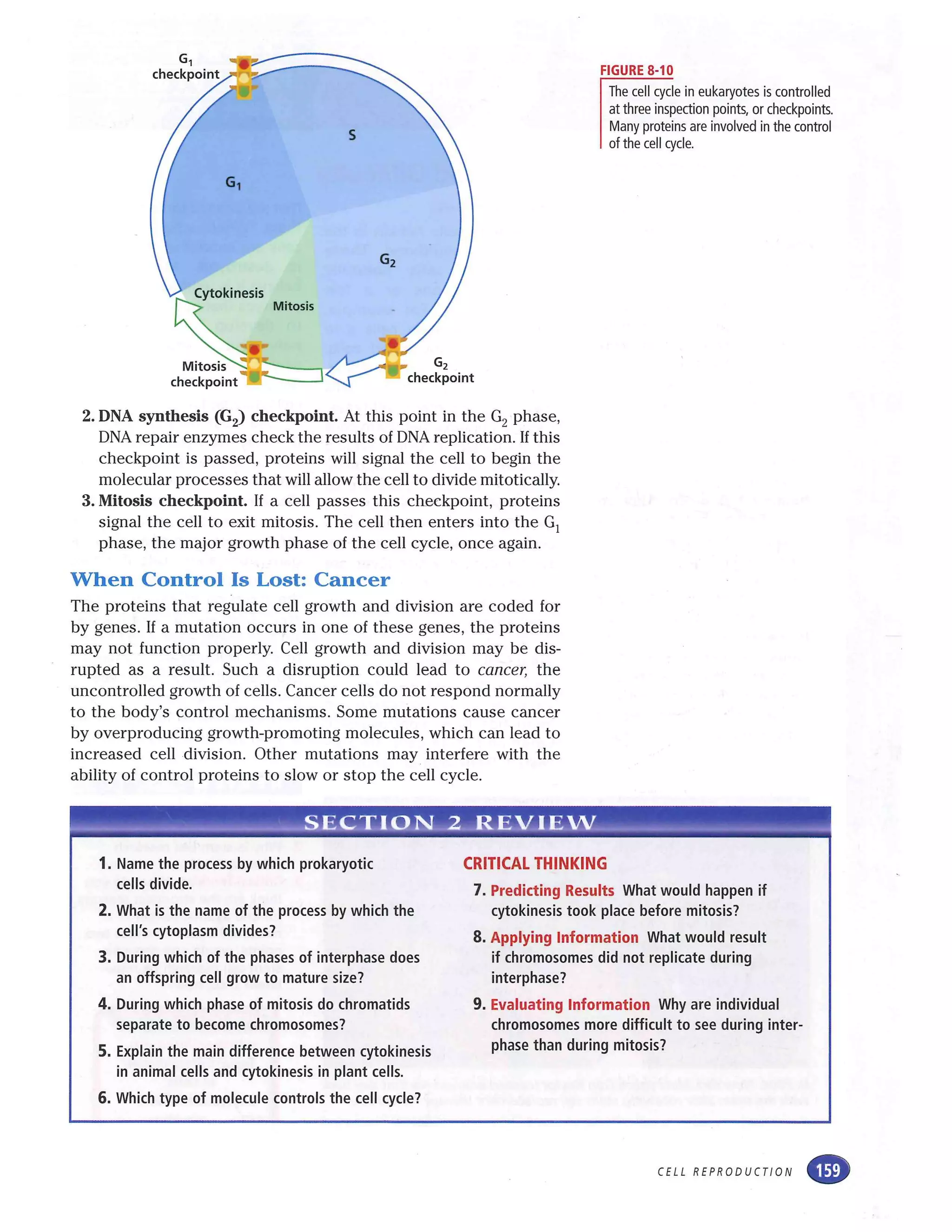 Cancer info in bio textbook | PDF | Cancer | Diseases and Conditions