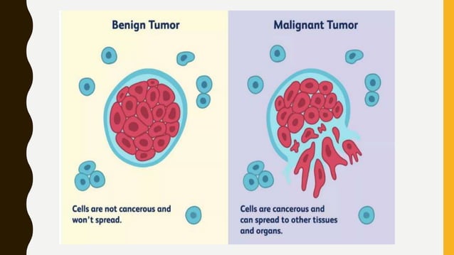 Cancer introduction | PPTX | Cancer | Diseases and Conditions