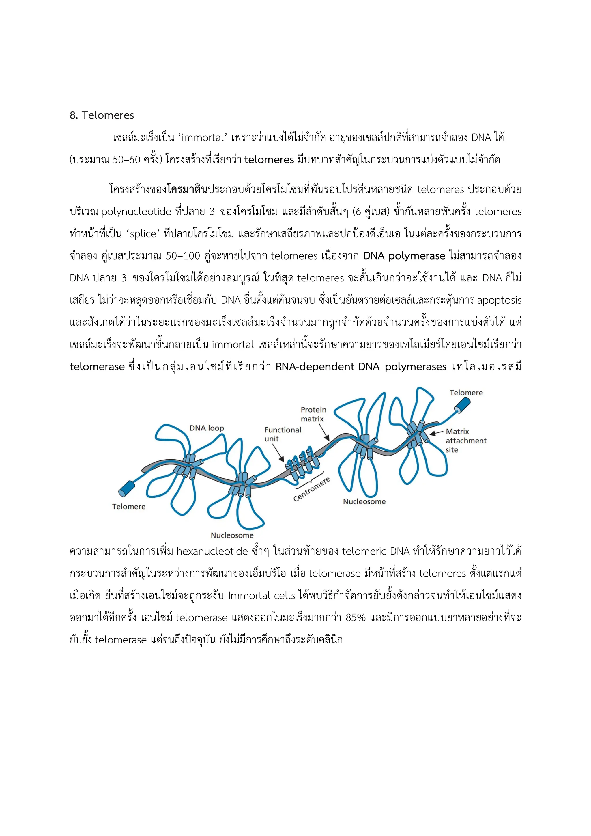 บทนำเกี่ยวกับโรคมะเร็ง (Cancer introduction).pdf