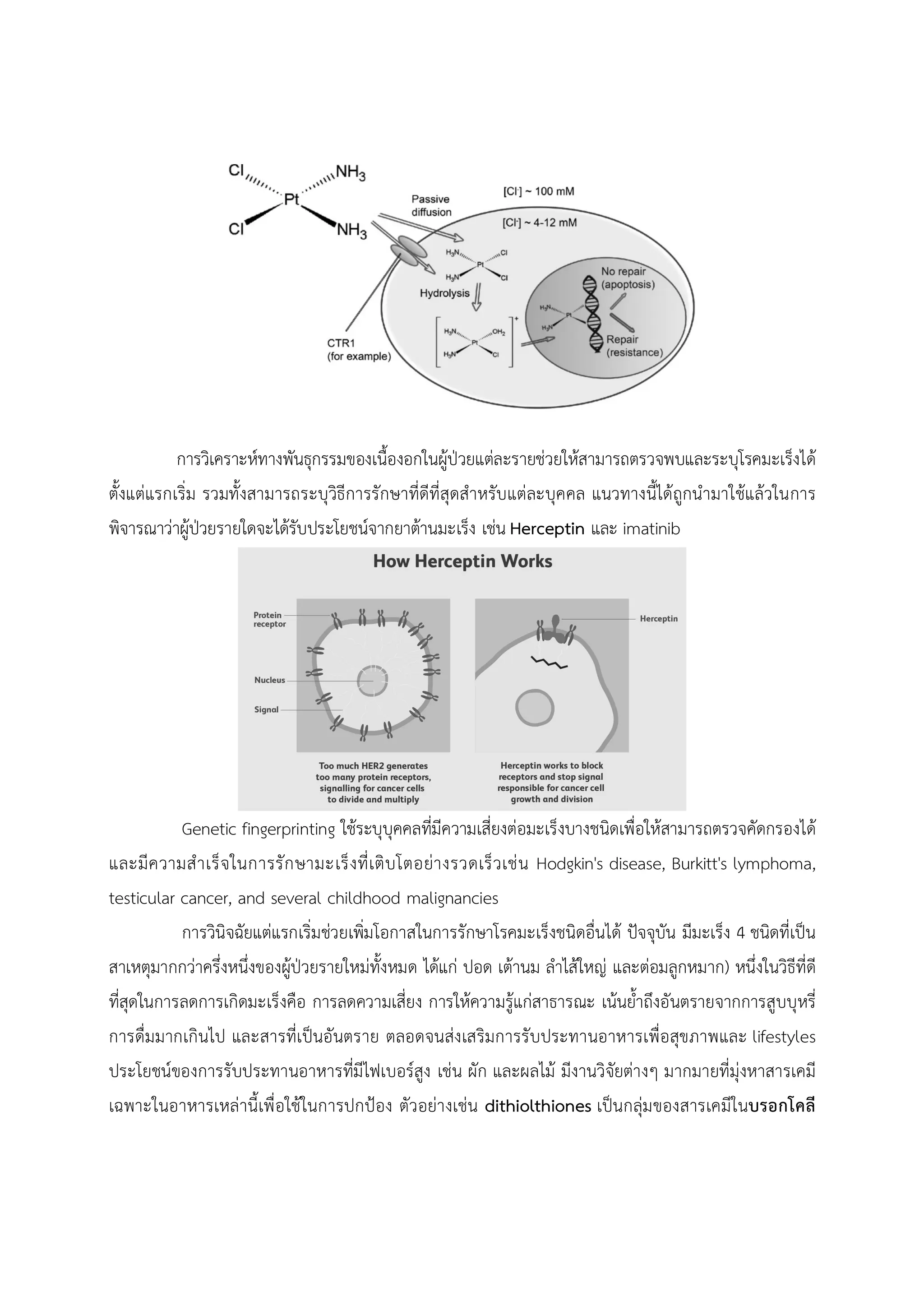 บทนำเกี่ยวกับโรคมะเร็ง (Cancer introduction).pdf