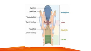 CANCER OF LARYNX AND ITS DETAILED MANAGEMENT | PPTX
