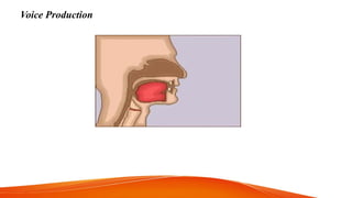 CANCER OF LARYNX AND ITS DETAILED MANAGEMENT | PPTX