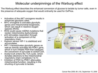 Cancer metabolism lecture, Hood College (10-18-10) | PDF