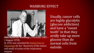 Cancer metabolism its theruputics | PPTX