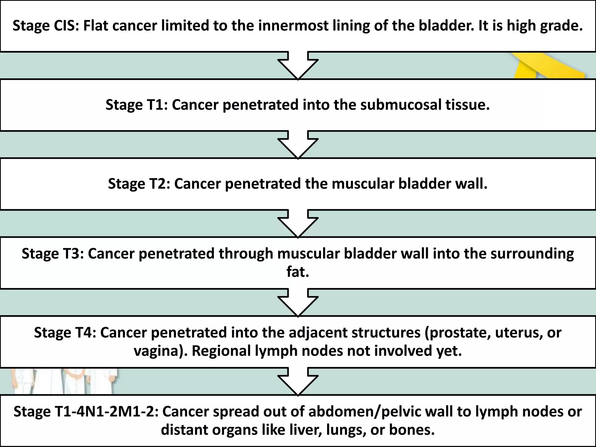 Cancer of bladder | PPTX