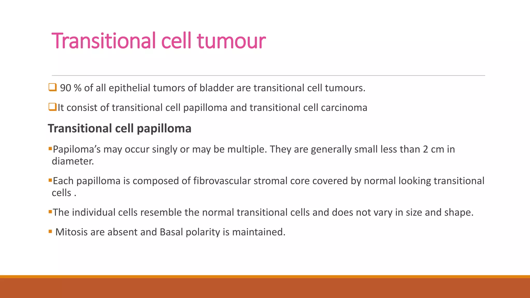 Cancer of bladder | PPTX