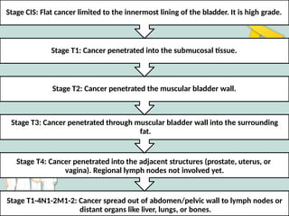Nursing Patient Care on Cancer of Bladder.pptx