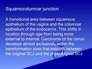 CANCER OF CERVIX SCHOOL PRESENTATION .ppt