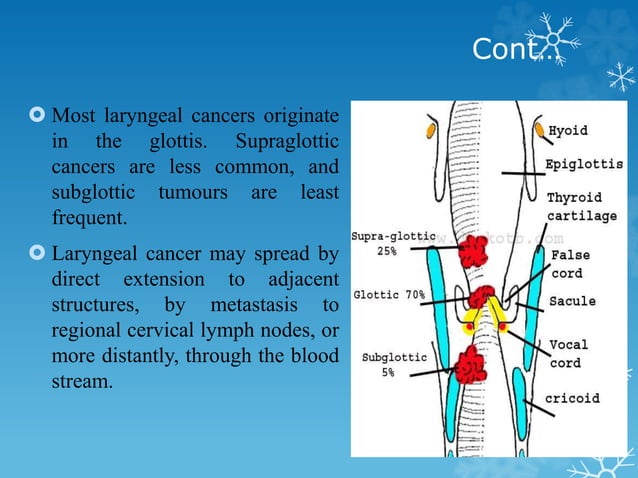 Cancer of larynx and lungs | PPT