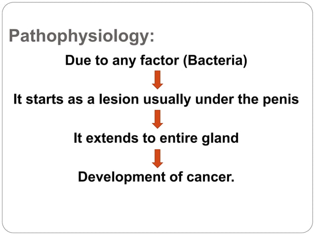 Cancer of penis | PPTX | Skin and Dermatology | Diseases and Conditions