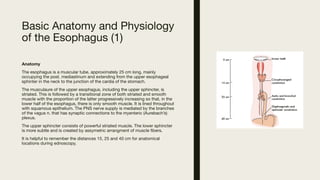 Cancer of the Esophagus-kkkkkkkkkkkk1.pdf