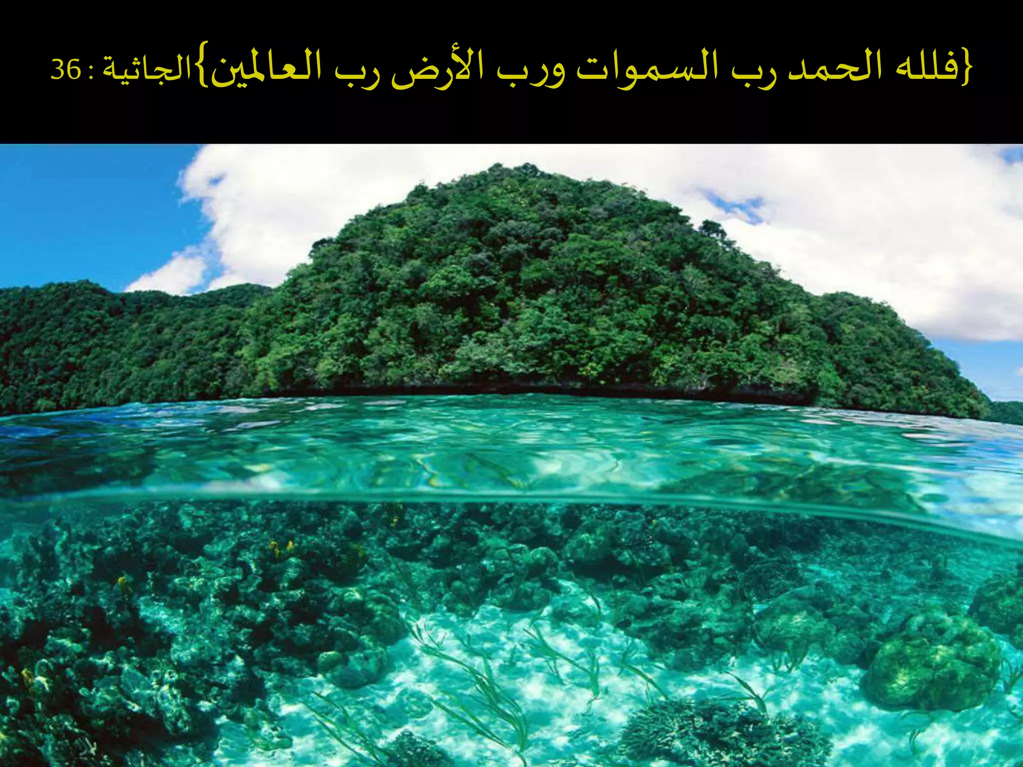 Cancer of the hypopharynx | PPSX | Ear, Nose and Throat Conditions ...