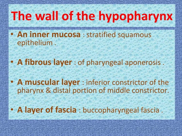 Cancer of the hypopharynx | PPSX | Ear, Nose and Throat Conditions ...