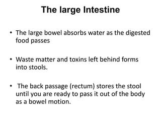 Cancer of the large intestine [autosaved] | PPTX