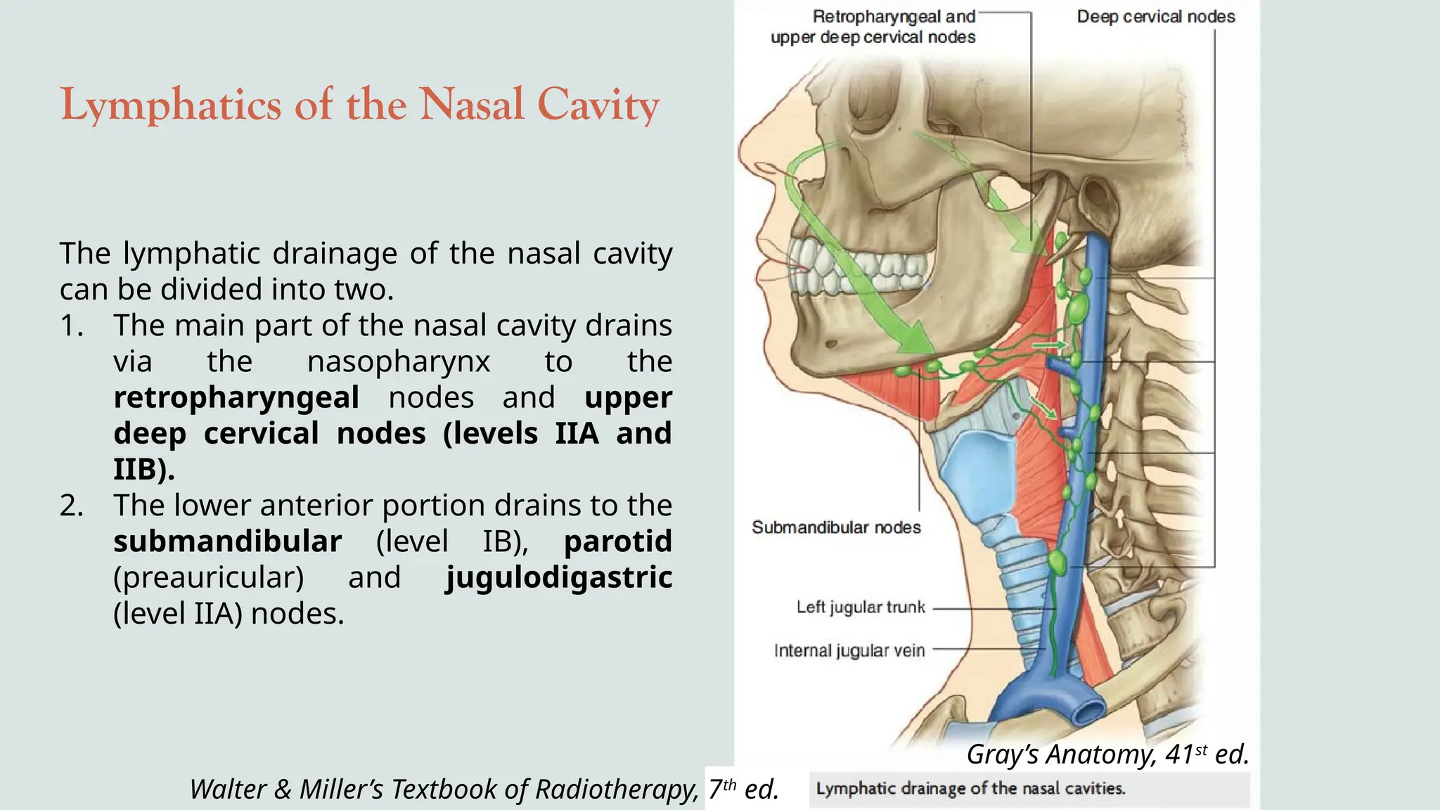 Cancer of the Nasal Cavity.pptx radiation oncology | PPTX