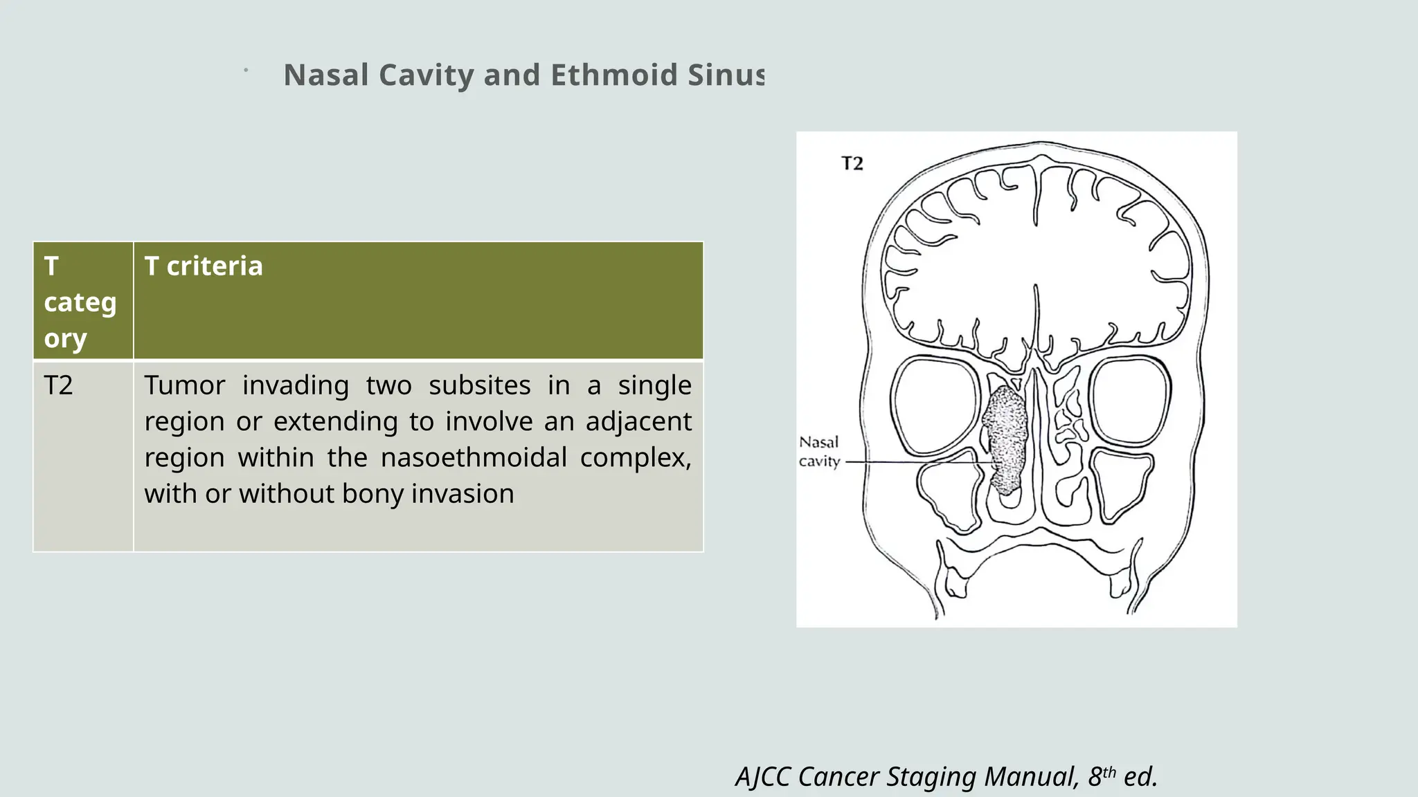 Cancer of the Nasal Cavity.pptx radiation oncology | PPTX