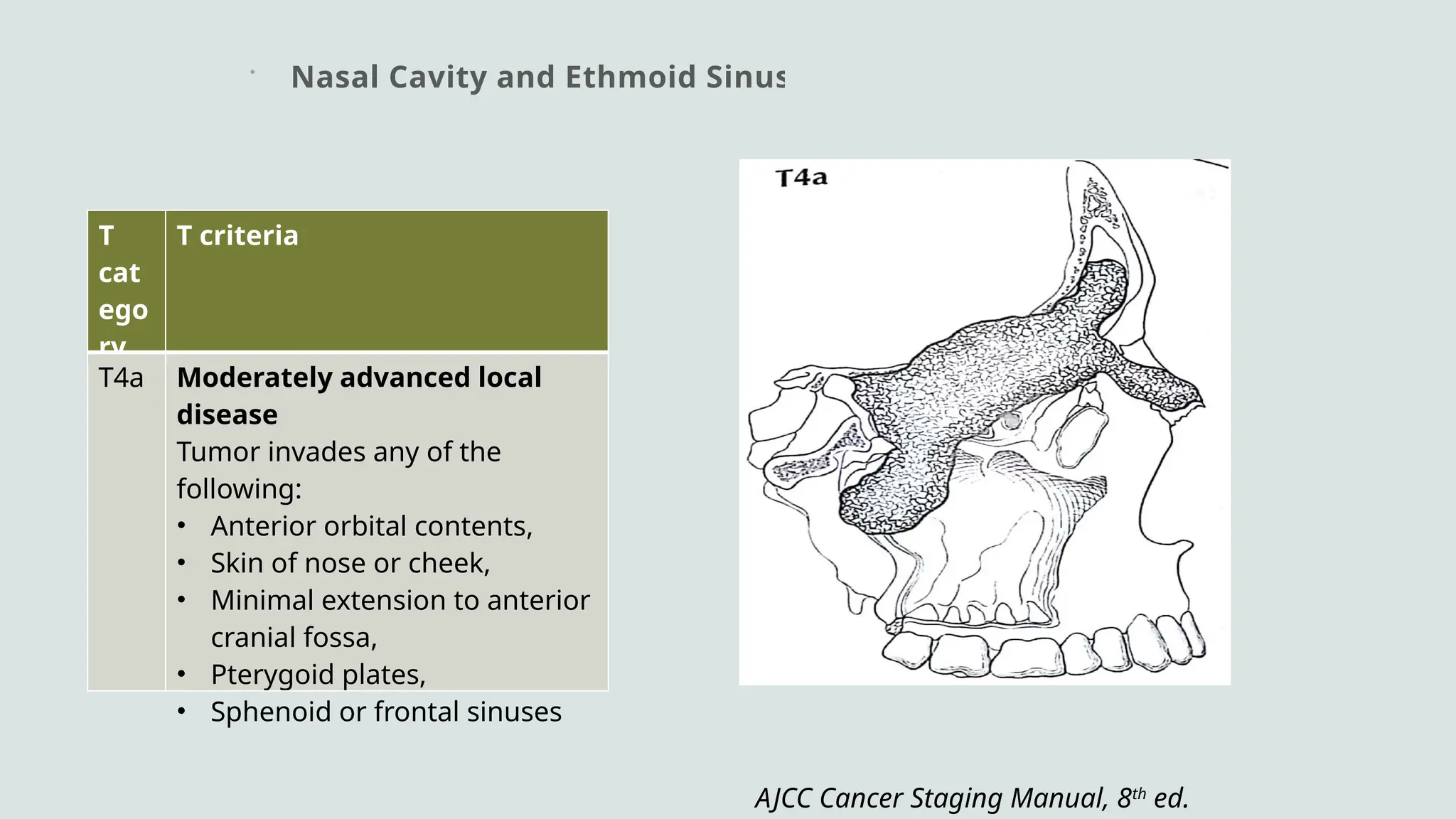 Cancer of the Nasal Cavity.pptx radiation oncology | PPTX