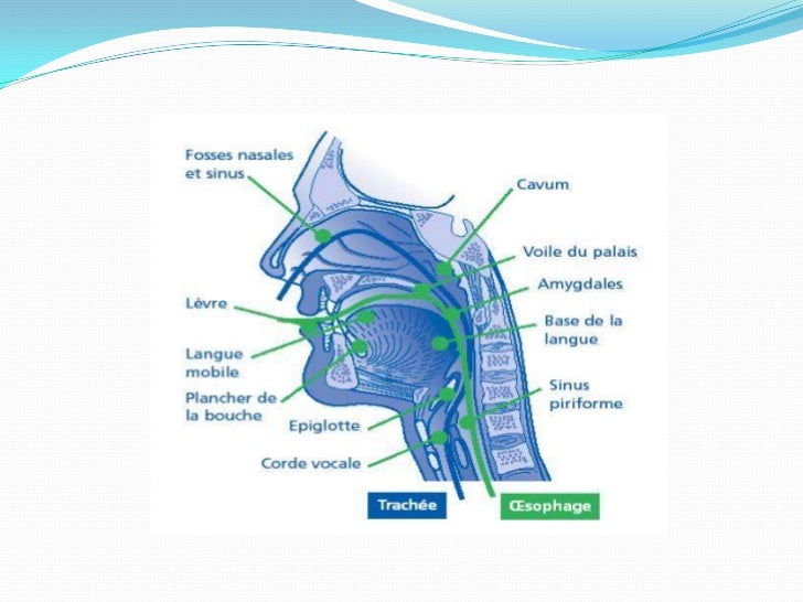 Cancer of the nasopharynx