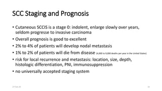 Cancer of the skin | PPTX