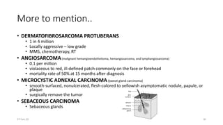 Cancer of the skin | PPTX