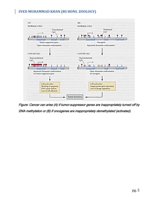 Cancer & Oncogenesis (Tumorigenesis) | PDF