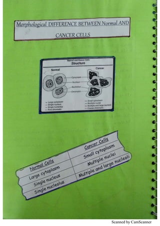 Cancer / Oncology Biology Investigatory Project | PDF