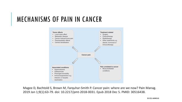 Cancer Pain Management | PDF