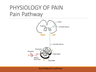 CANCER PAIN AND MANAGEMENT ppt palliation pain (1).pptx