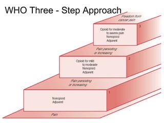 Cancer pain management | PPT