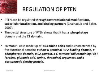 The PTEN and PI3-Kinase Pathway in Cancer ppt | PPTX