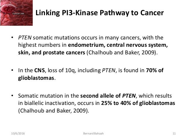The PTEN and PI3-Kinase Pathway in Cancer ppt